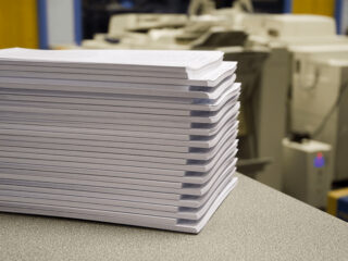 Kraft Paper, Duplex & Pulp Board Exporter - Dominus Paper